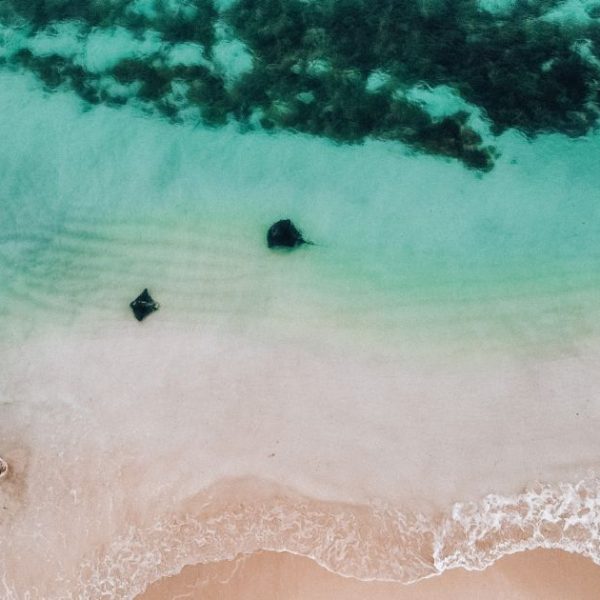 The Best Beaches in Esperance - The Born Wanderess